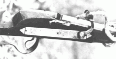 A History Of Muzzleloading | White Muzzle Loading